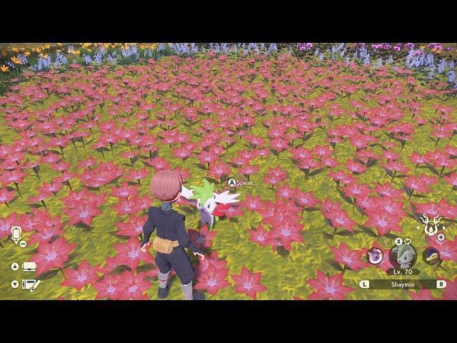 How to change Shaymin's forms in Pokémon Legends: Arceus