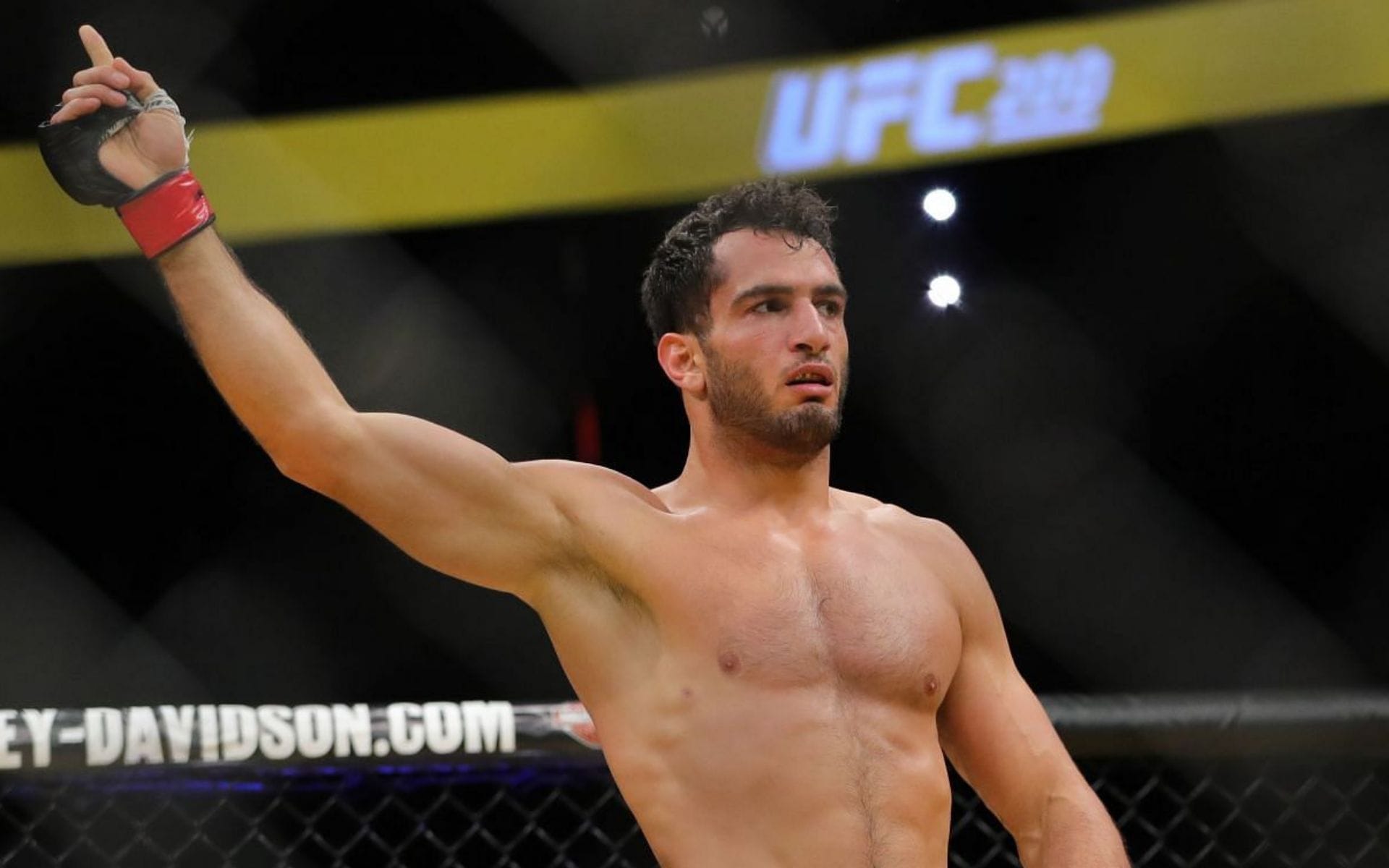 What is Gegard Mousasi's UFC record?