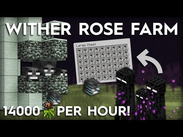 Wither rose in Minecraft: Everything players need to know