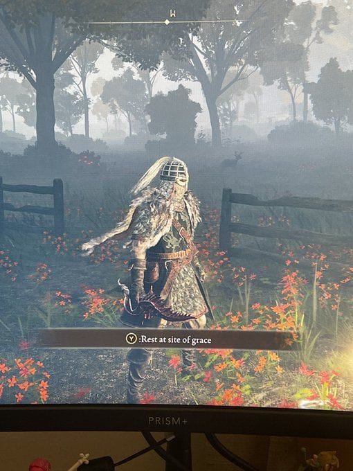 Top 5 Dex weapons in Elden Ring and where to find them