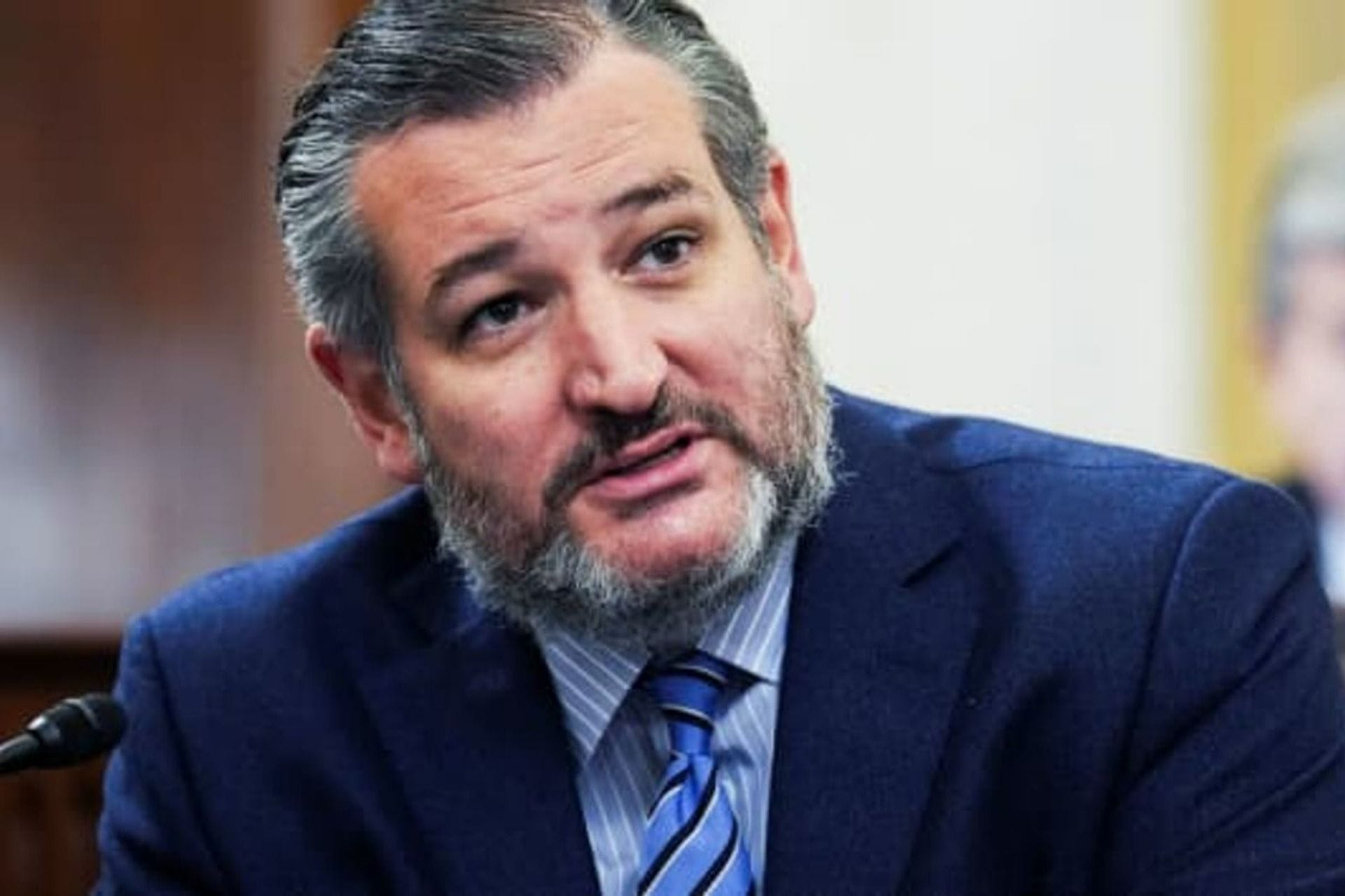 Ted Cruz Bozeman airport video goes viral as Senator allegedly faces ...