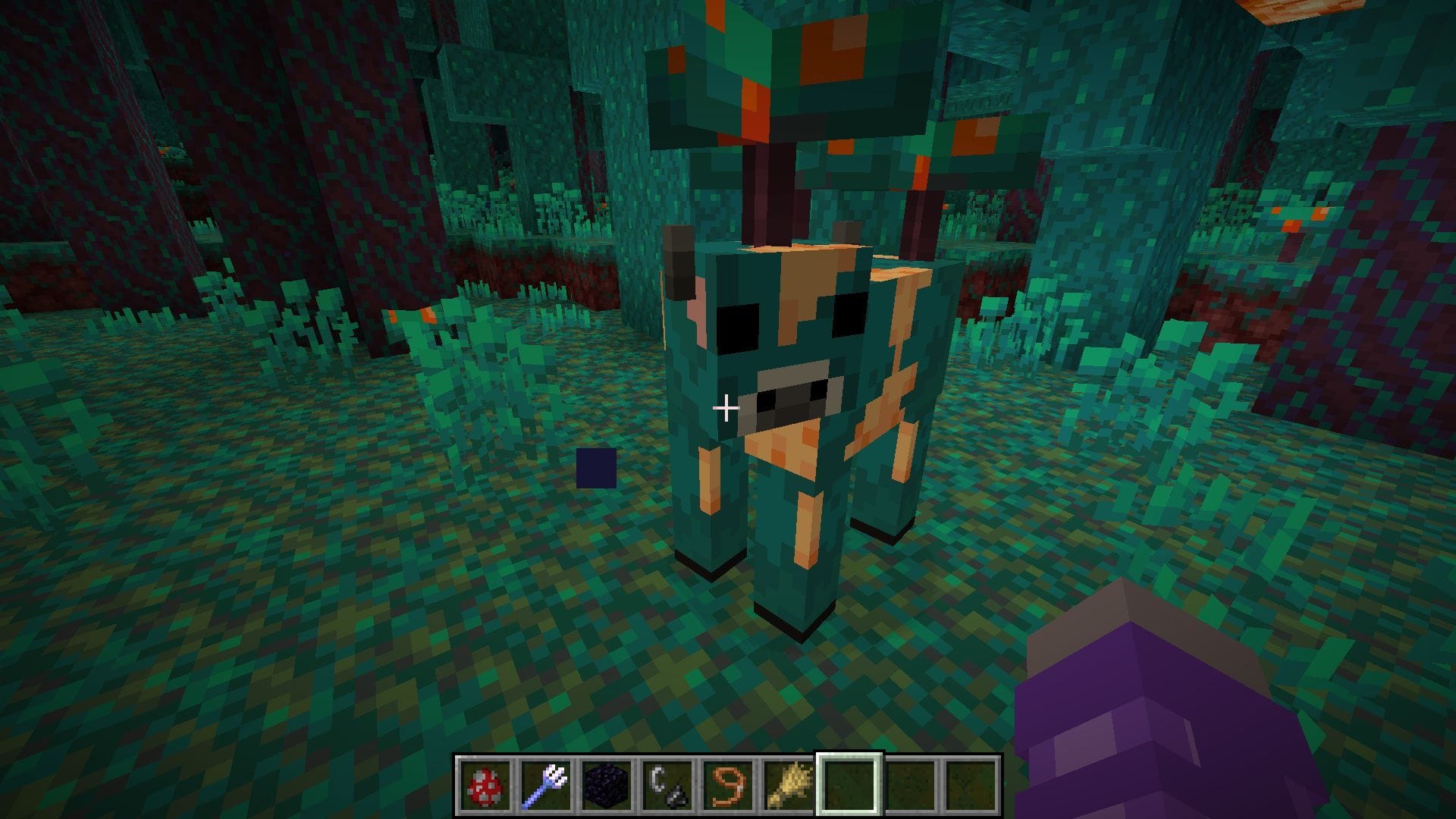 Minecraft Redditor creates a Warped and a Crimson texture for ...