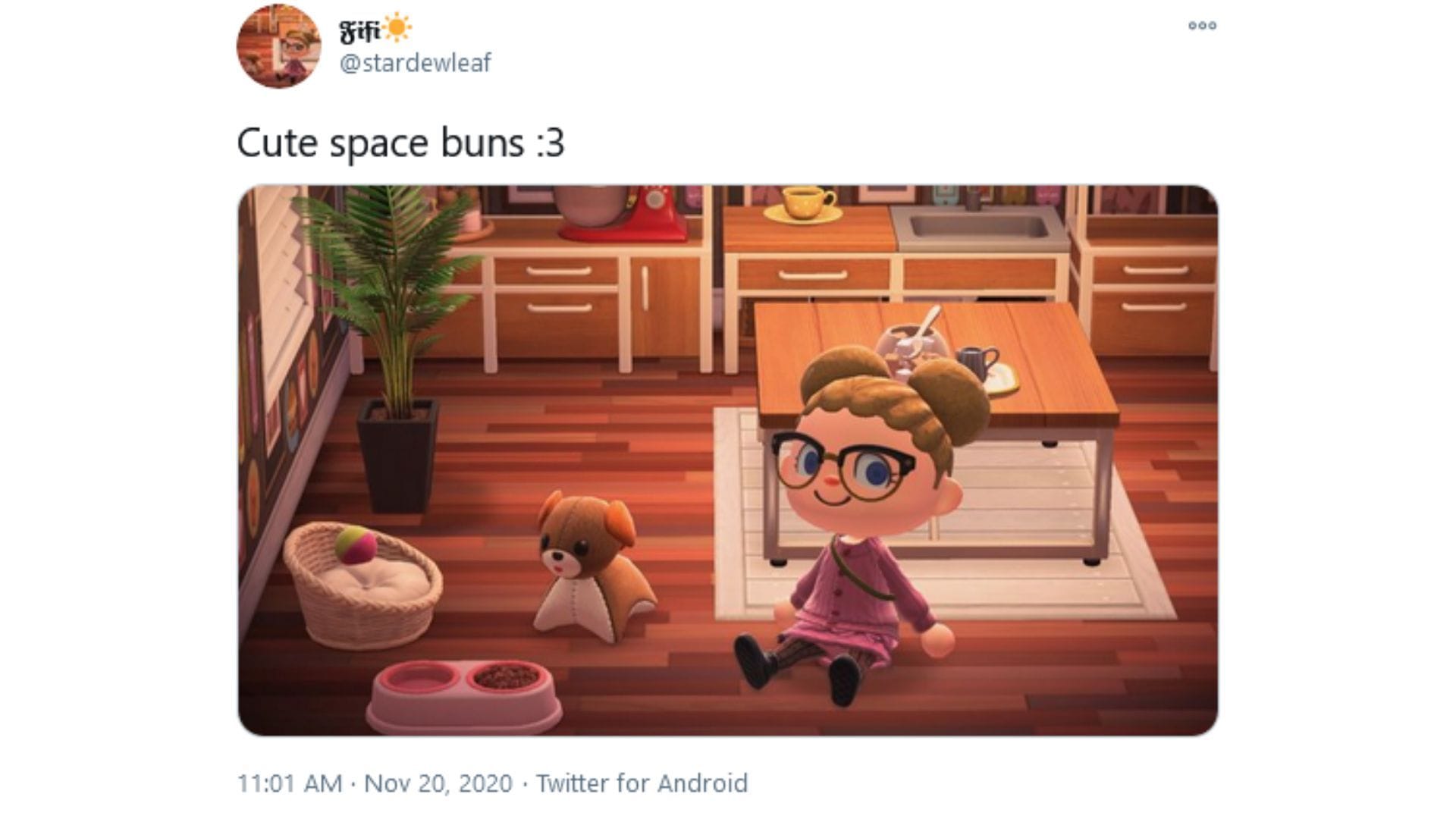 Animal Crossing: New Horizons Space Bun controversy, explained