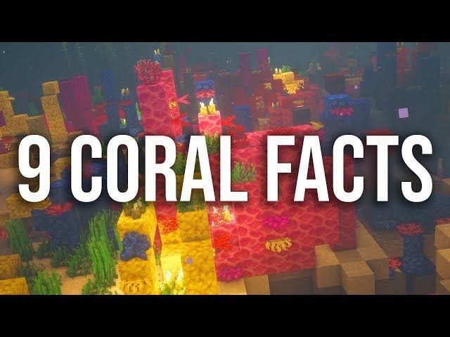 5 best seeds for coral reefs in Minecraft: Pocket Edition