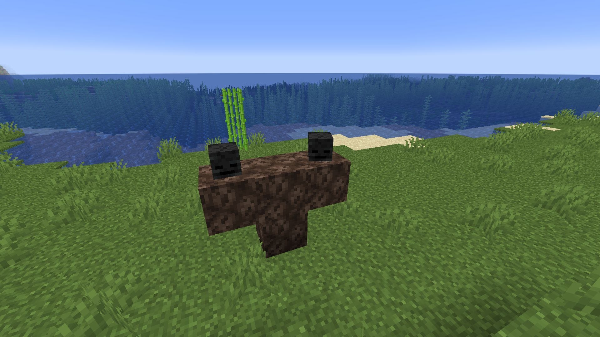 Minecraft purpose of mob heads