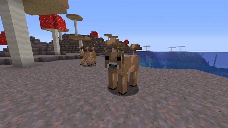Top 5 rarest animals in Minecraft 1.18 (2022)