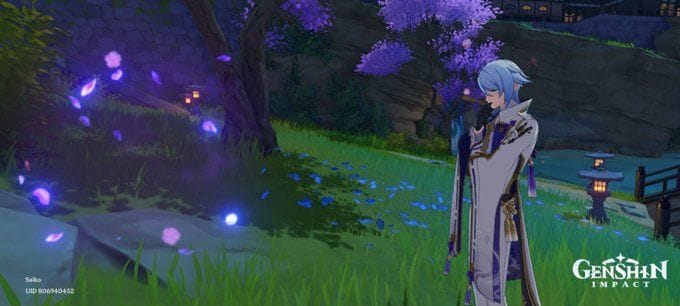 How to prepare 4 photos of Inazuman regional specialties and animals in ...