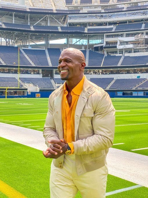 Why did Terry Crews quit his NFL career?