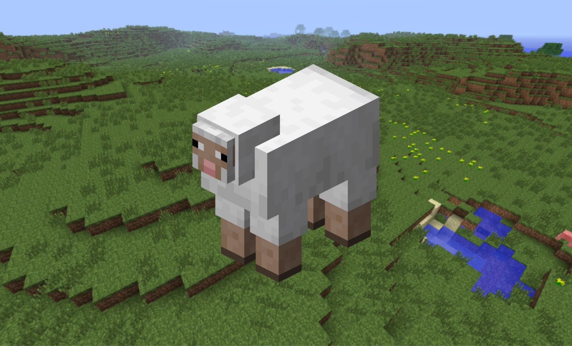 5 best sheep skins in Minecraft