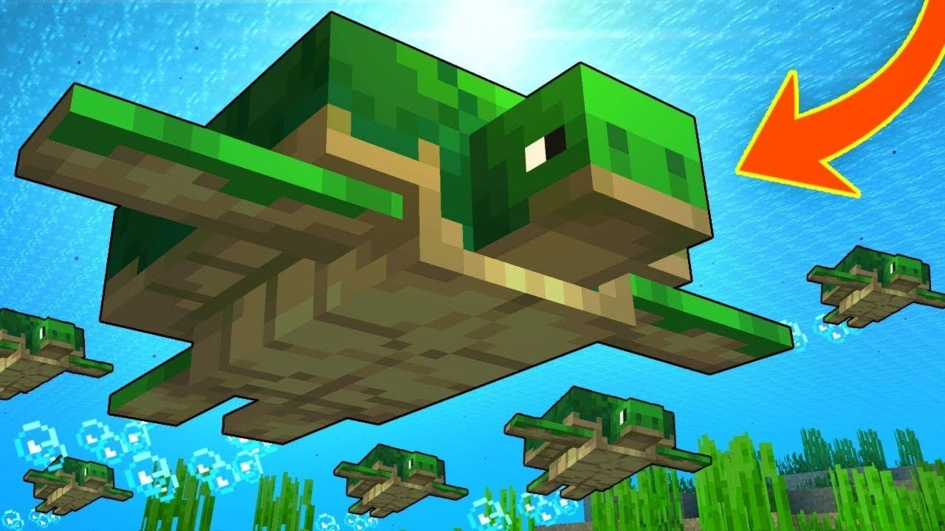 5 best seeds for coral reefs in Minecraft: Pocket Edition