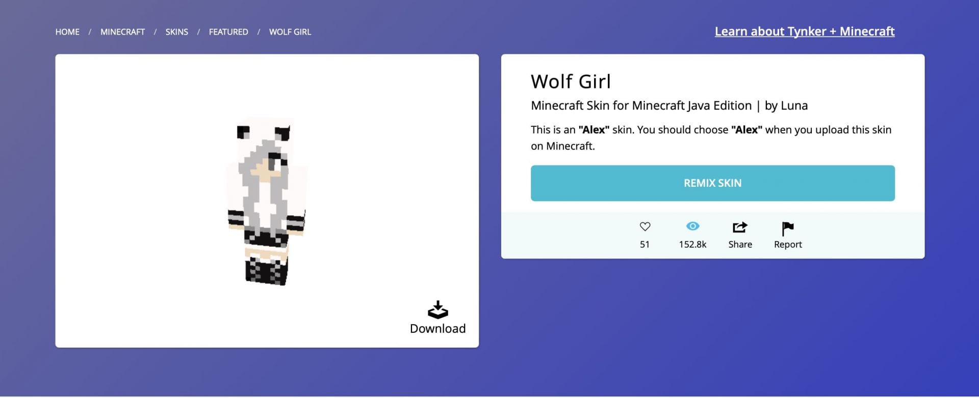 10 best Tynker skins in Minecraft (2022)