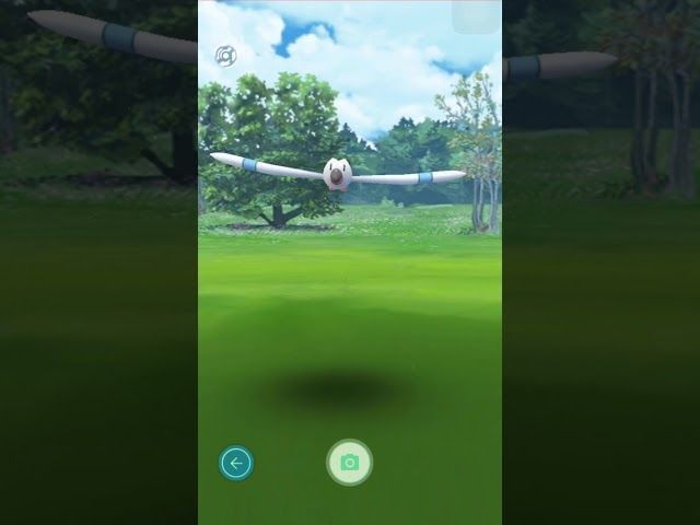 Can Wingull be shiny in Pokemon GO?