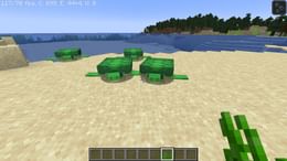 How To Get Turtle Shells In Minecraft