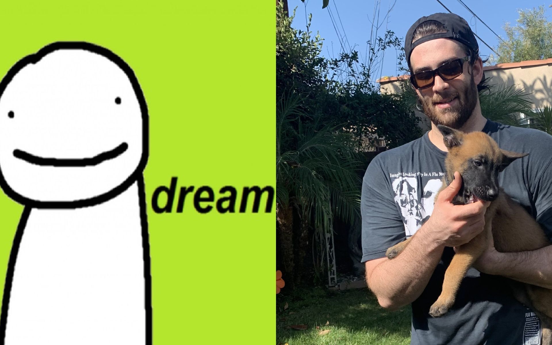 Dream's latest sarcastic tweet has Twitter divided