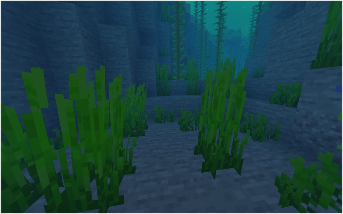 How to make a seagrass farm in Minecraft
