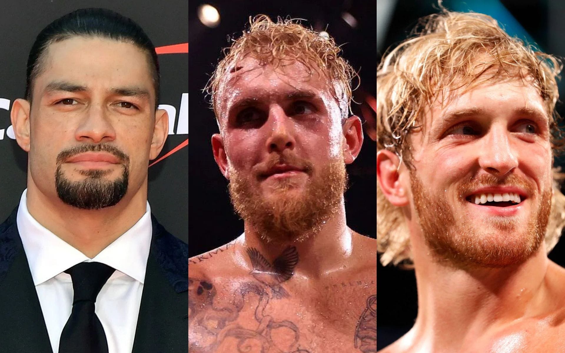 Boxing News: Roman Reigns heaps praise on Jake Paul and Logan Paul
