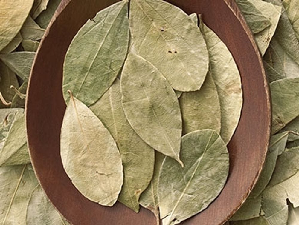 Did Coca-Cola have cocaine in it? History explored as Elon Musk's tweet ...