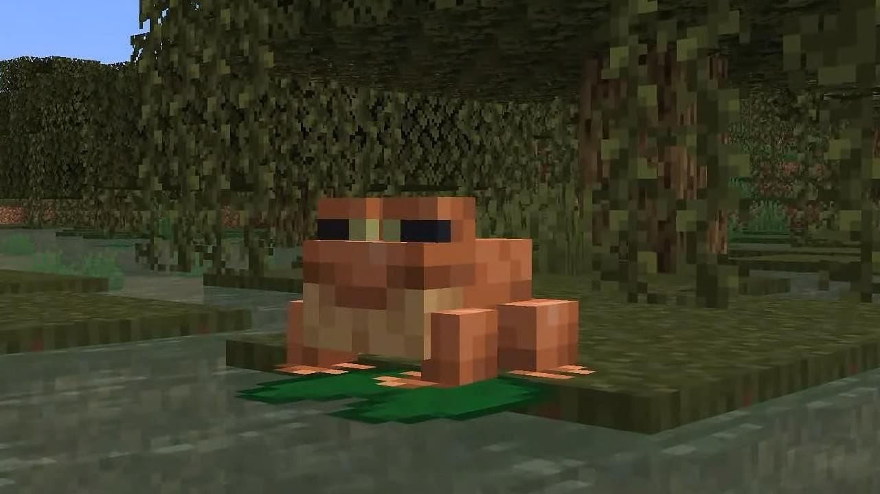 All you need to know about frogs in Minecraft