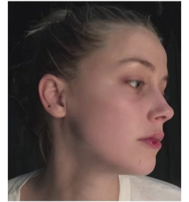 Who is Bryan Neumeister? Digital forensics expert claims Amber Heard's ...