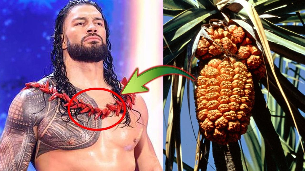 What is the red necklace that Roman Reigns wears?