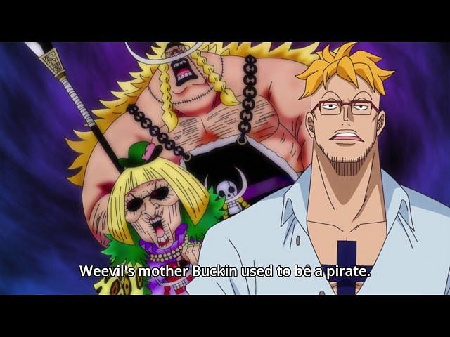 Top 10 unattractive One Piece characters Top 10 unattractive One Piece characters
