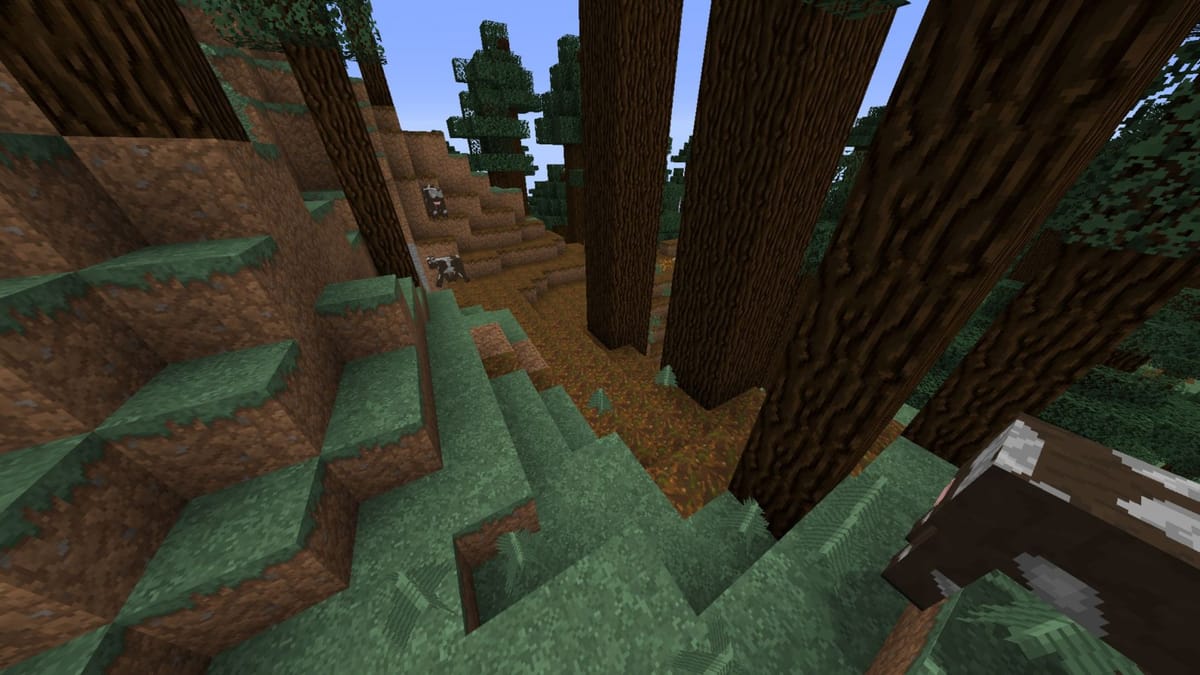 What is podzol used for in Minecraft 1.18?