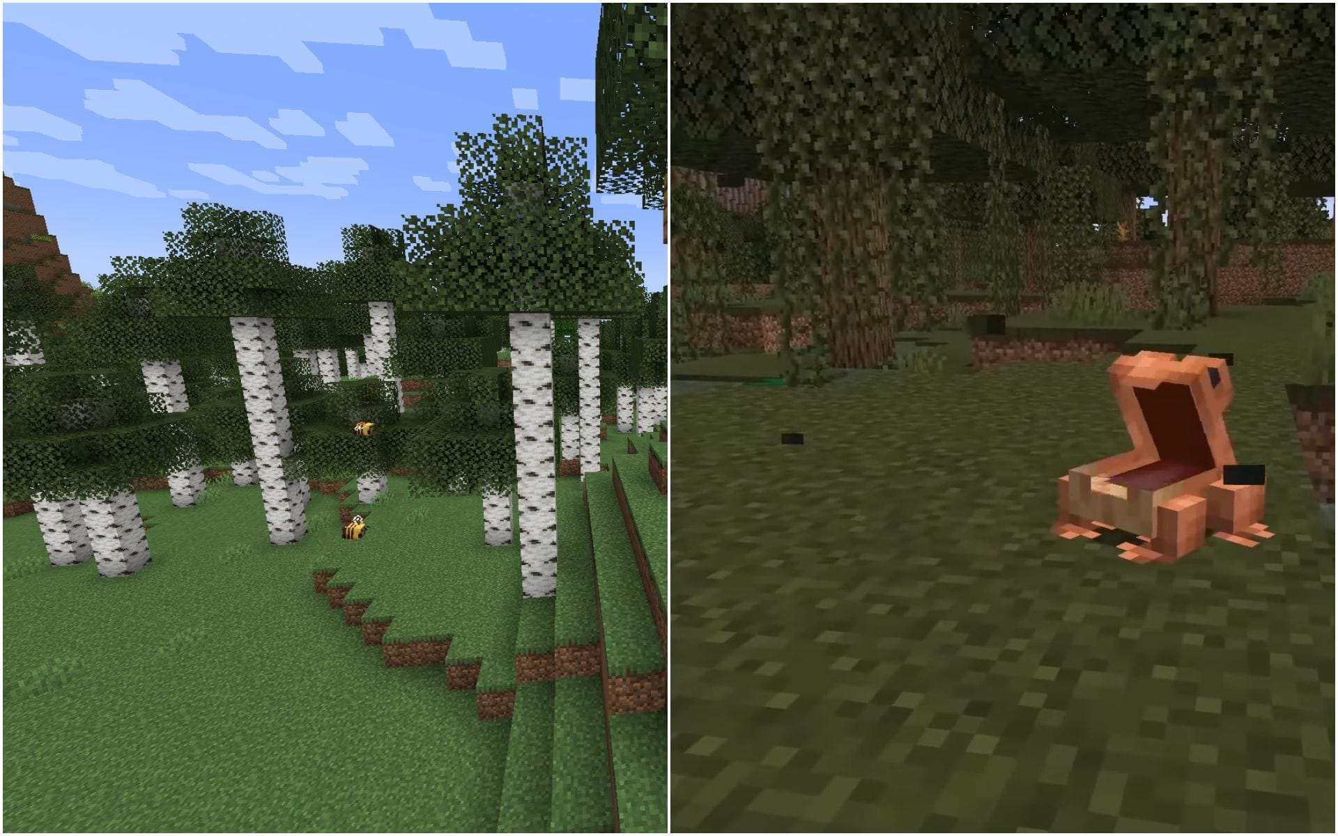 New Birch Forest and Fireflies will not be added to Minecraft 1.19 The ...