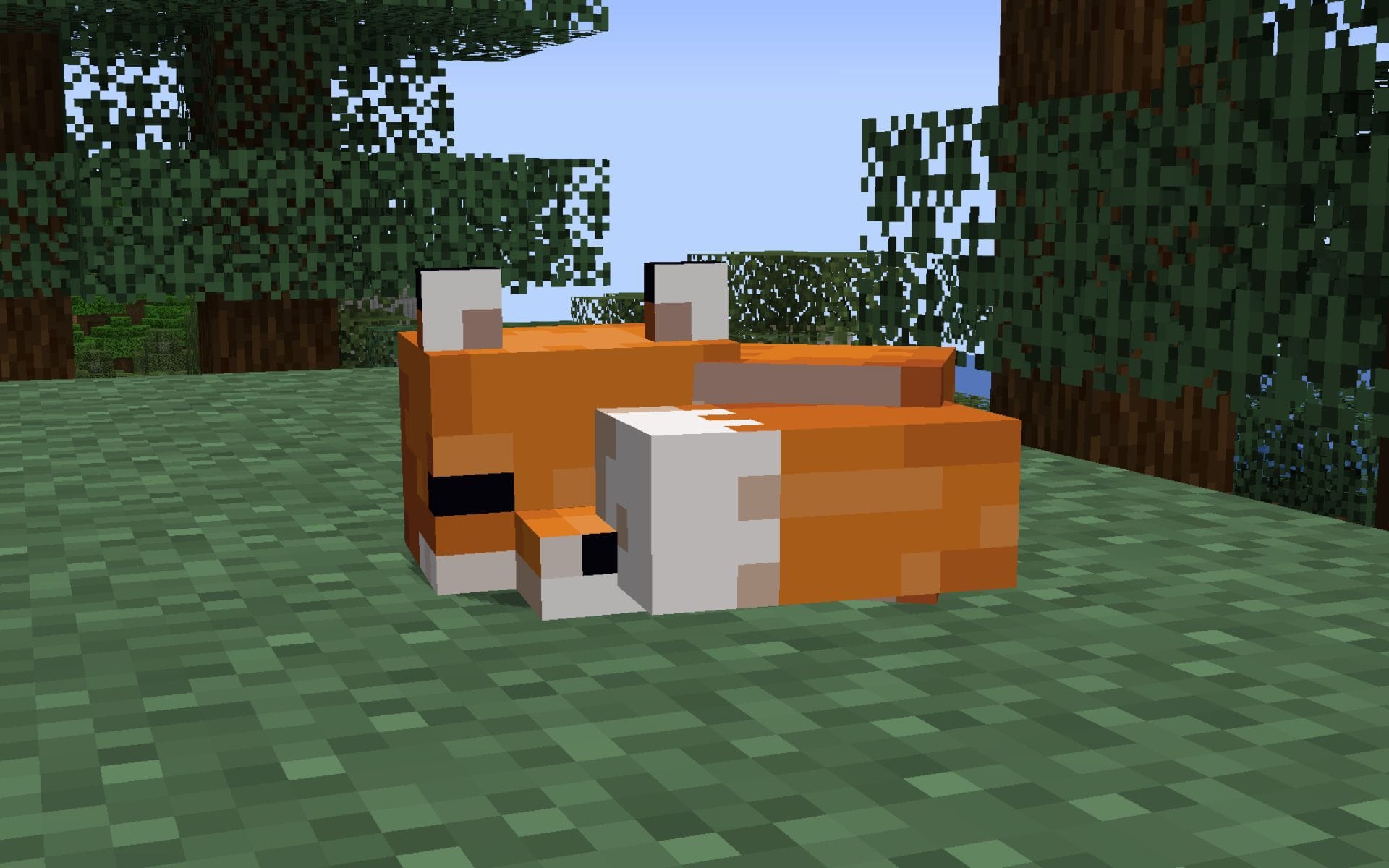How to tame a fox in Minecraft 1.18