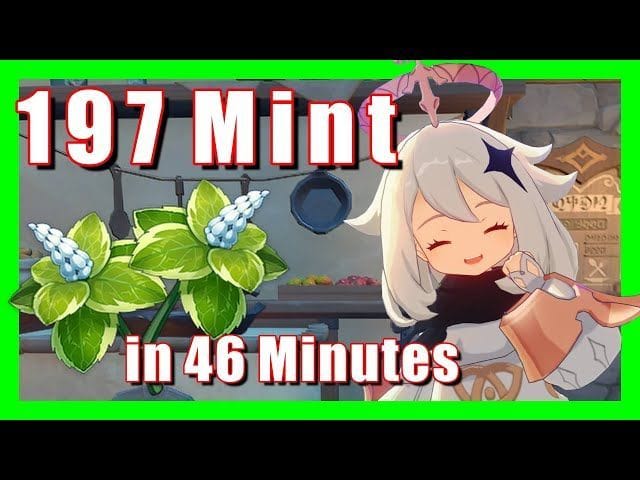 How to get mint in Genshin Impact: Top 5 Mint locations