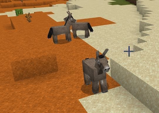 Donkeys in Minecraft: Where to Find, how to tame, what do they eat ...