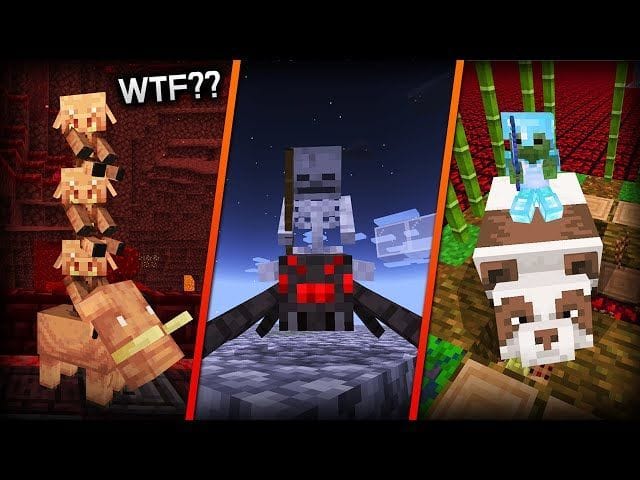 What is Minecraft's rarest mob skin