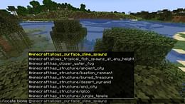 New Type Of locate Command Added In Minecraft Snapshot 22w19a