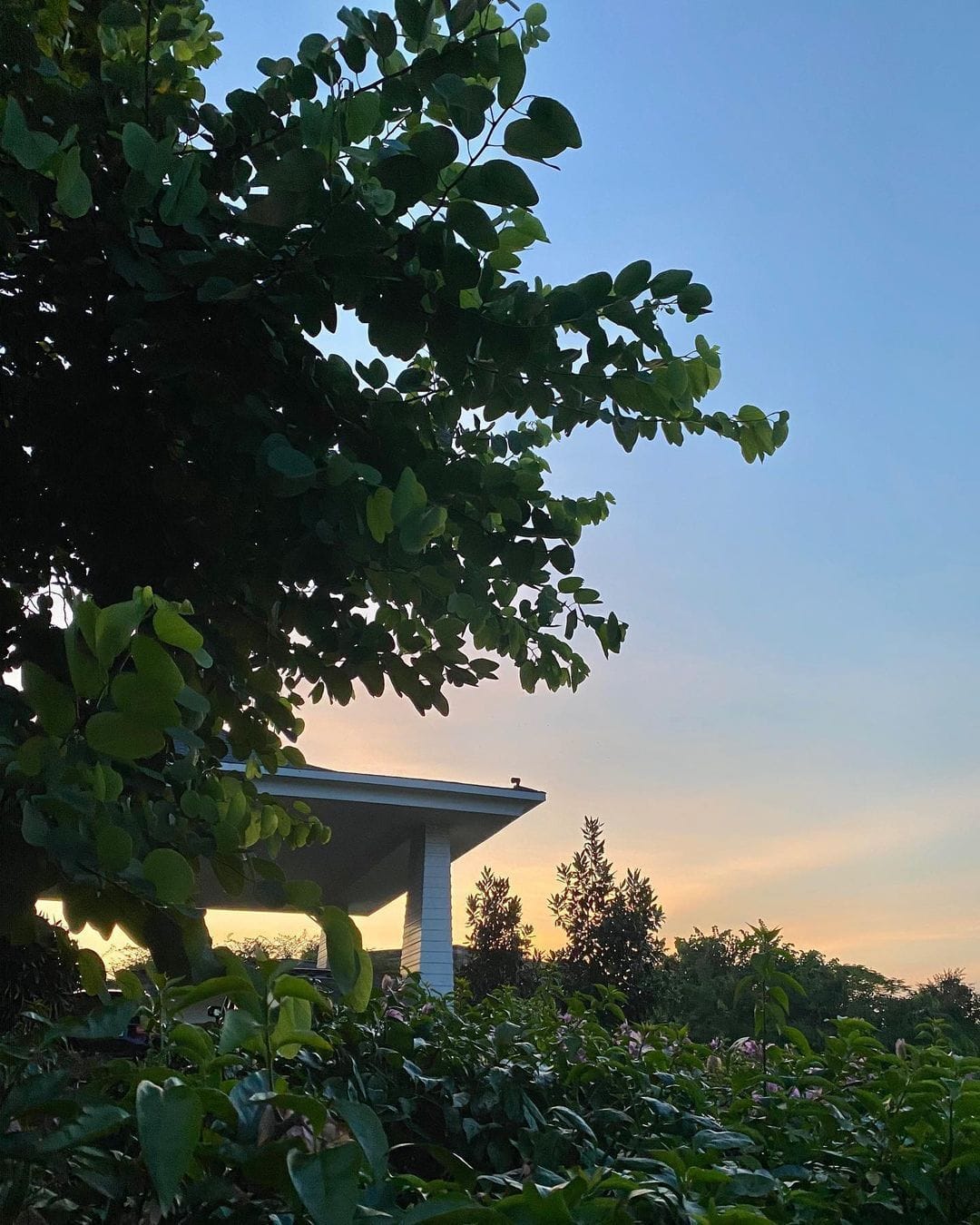 MS Dhoni's House- MS Dhoni Residence, Address & House Photos