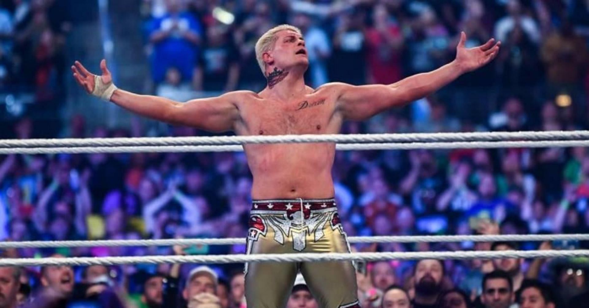 Cody Rhodes thinks he could do wonders for the Intercontinental ... Cody Rhodes thinks he could do wonders for the Intercontinental ...