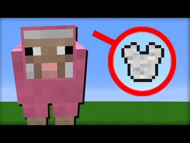 Full list of passive mobs in Minecraft (2022)