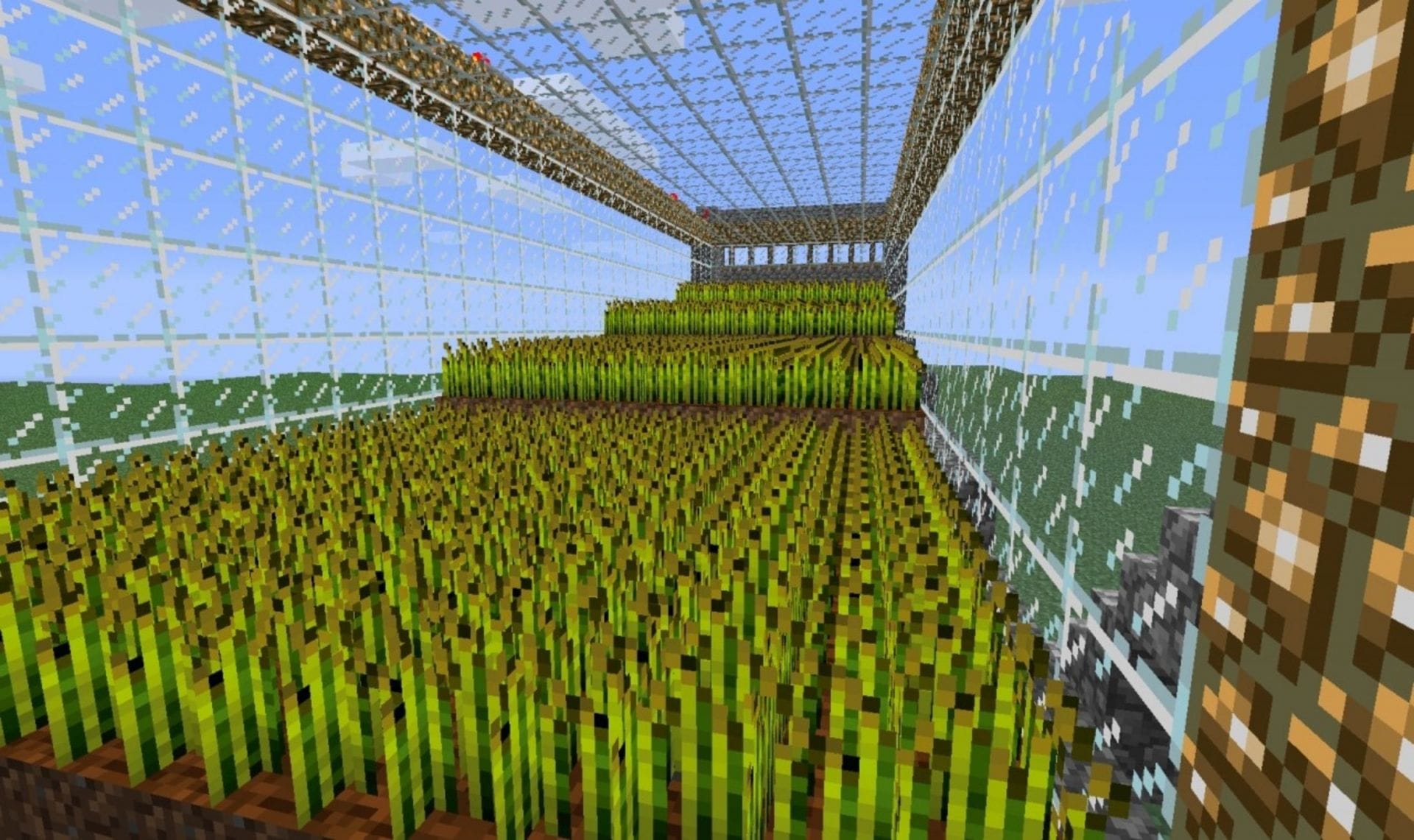 10 easiest starter farms to build in Minecraft