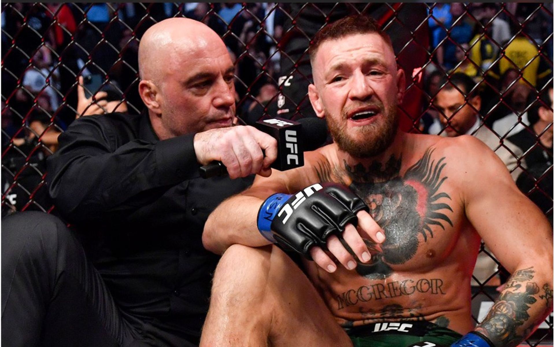 Joe Rogan defended decision to interview Conor McGregor following ...