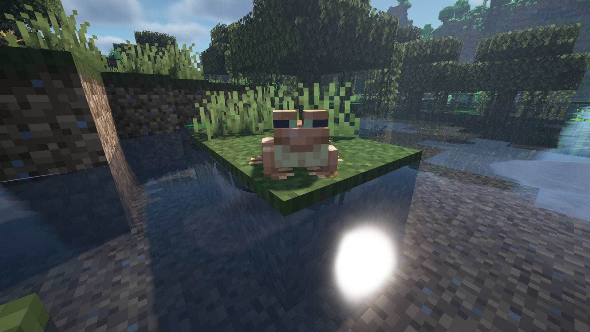 Where to find tadpoles in Minecraft 1.19 update