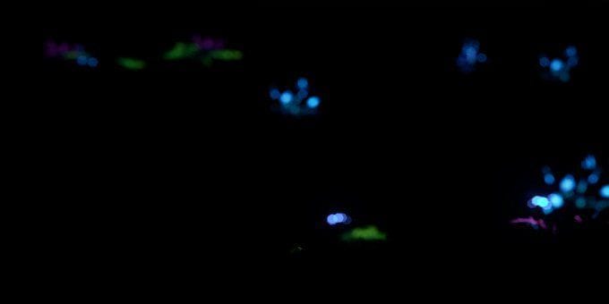 Fortnite reveals Geno's face for the first time during 'Collision' live ...