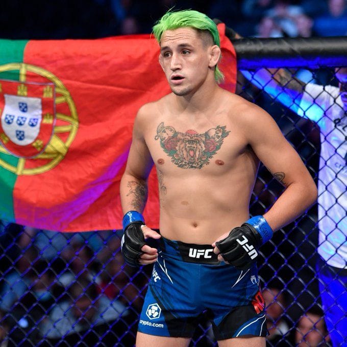 Sean O'Malley and other UFC fighters with unusual hairstyles