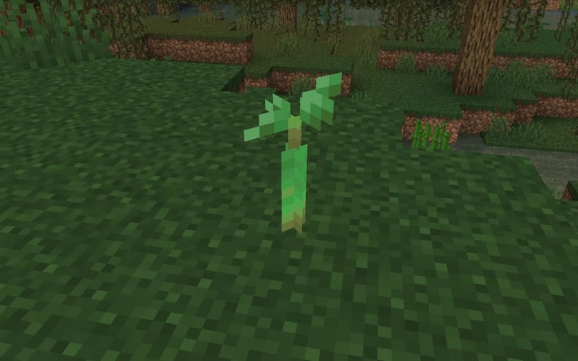 How to plant Mangrove trees in Minecraft 1.19