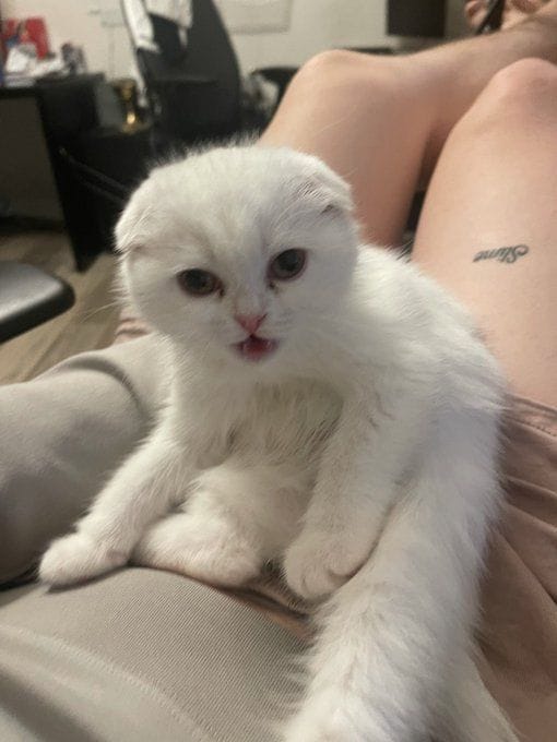 Ludwig thanks his fans for 3 million subs on YouTube, offers them ...