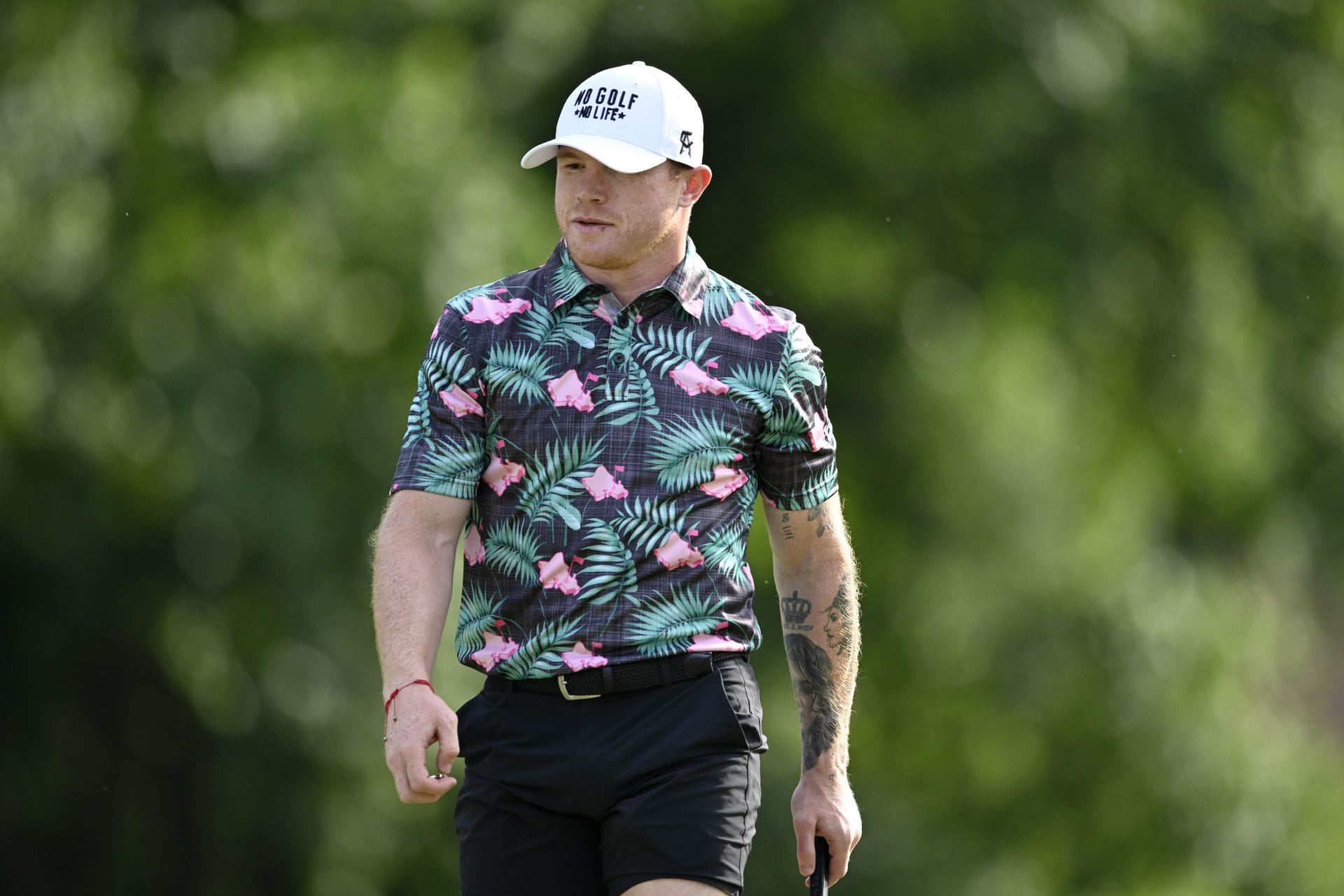 Canelo Alvarez discusses the best weight class for him