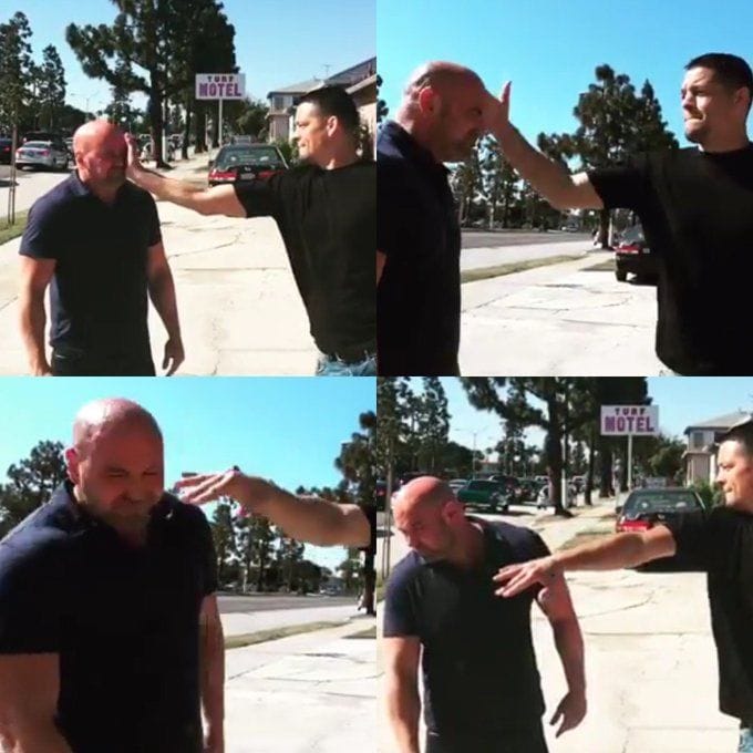 Dana White answers if he’d let other UFC fighters slap him like Nate ...