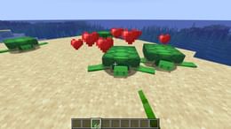 How To Get The Turtle Helmet In Minecraft 1 19