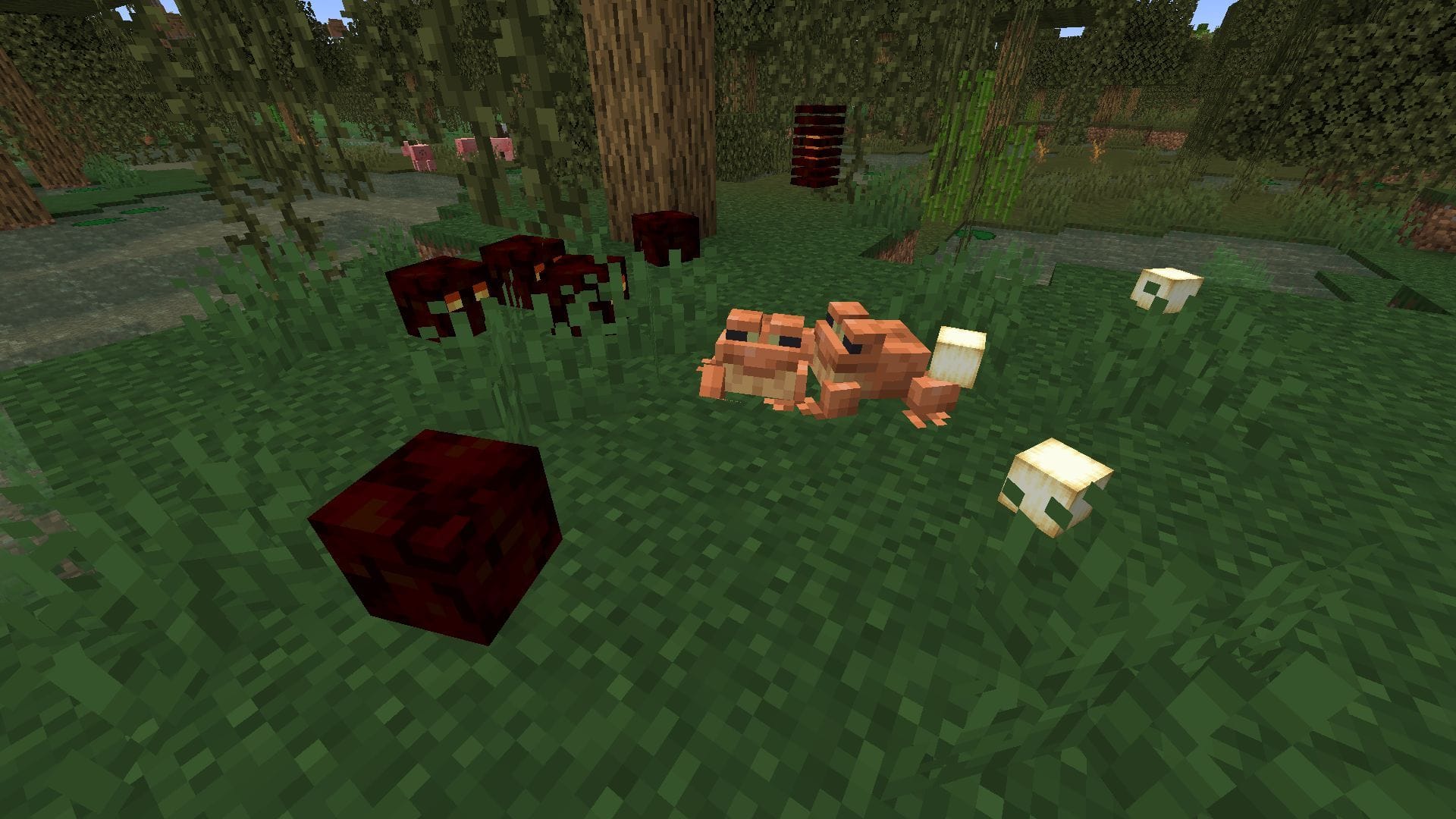 Top 5 things to do in Minecraft 1.19 update