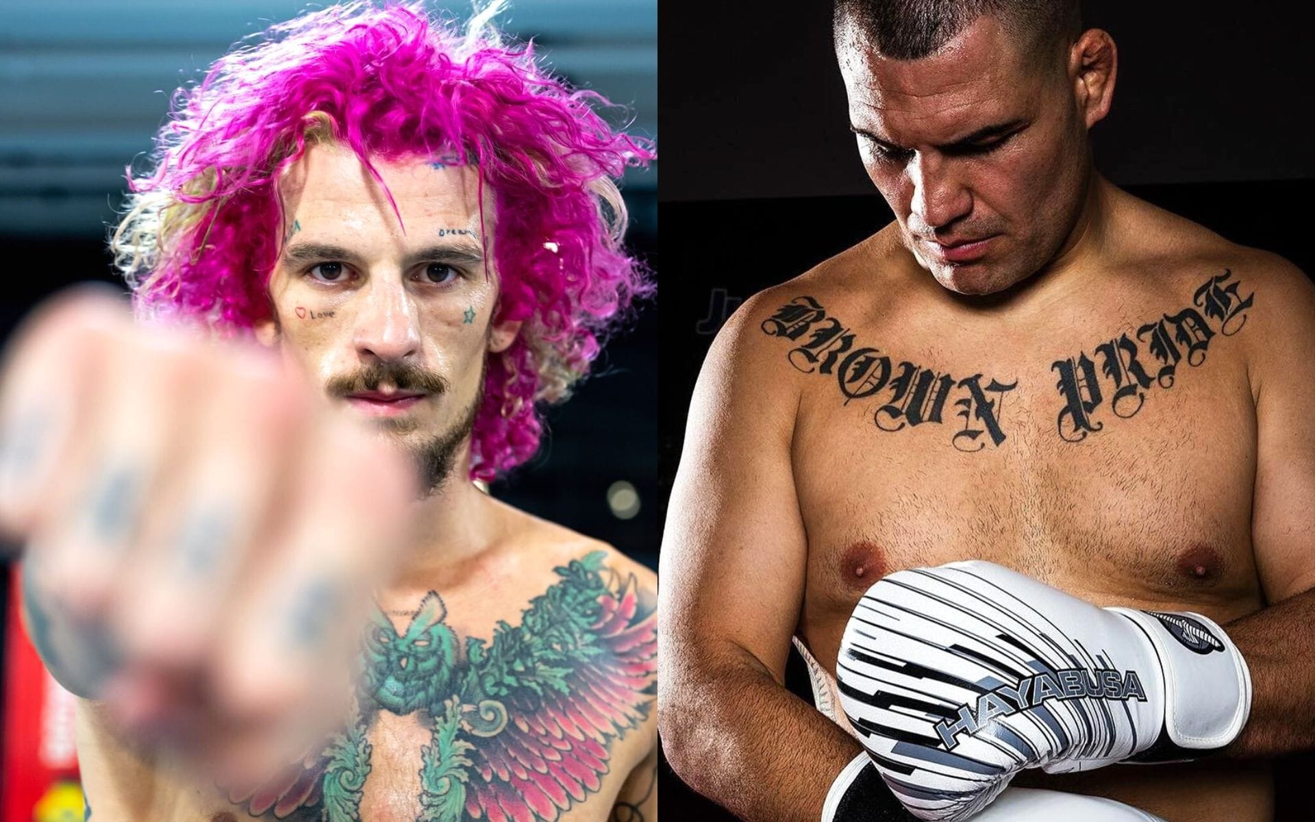 Shave their eyebrows, punch their teeth in - Sean O'Malley says what he ...