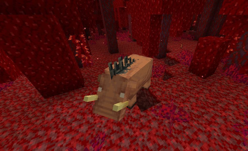 Hoglin in Minecraft: Behavior, Spawning, How to Breed, Uses