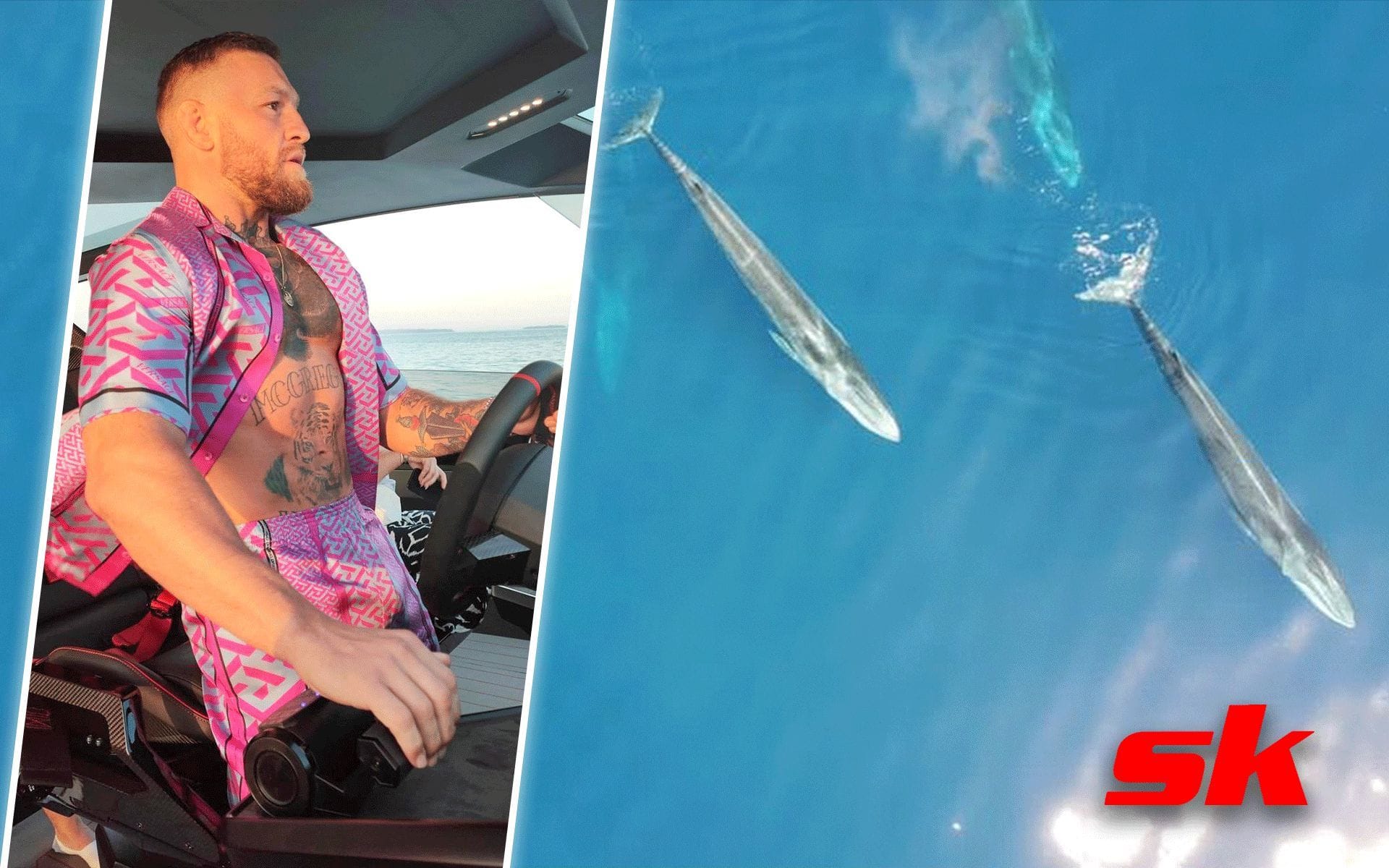 Watch: Conor McGregor shares incredible marine life videos while ...