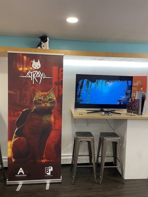 Meet Lala, the voice actor behind the feline protagonist in Stray
